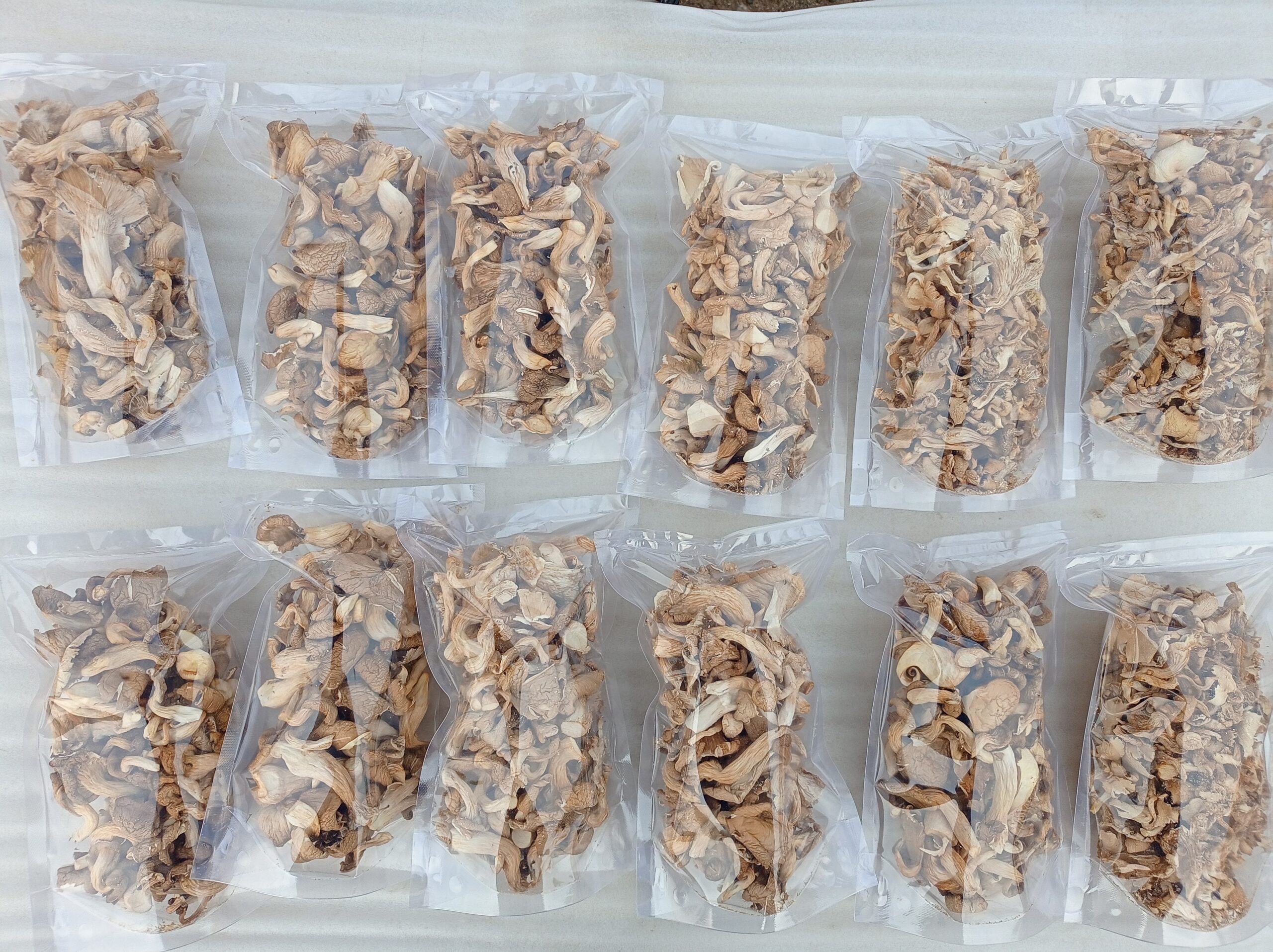 Dried Mushrooms, Usage and Advantages - Roodi Food